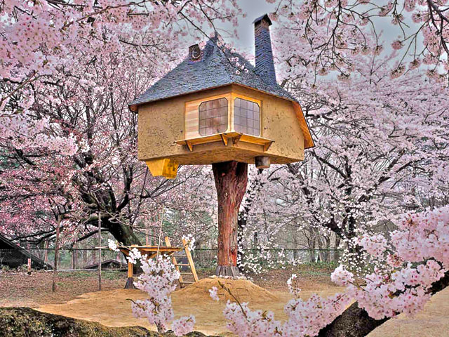 Tetsu Tree House