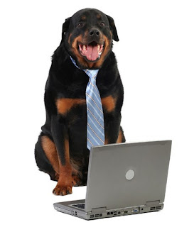 My Happy Dog World by Paws and Bones: 5 Amazing Jobs Dogs Do