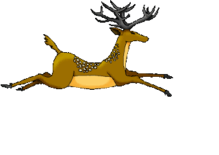 LUVITA.COM: Animasi Gif Kijang