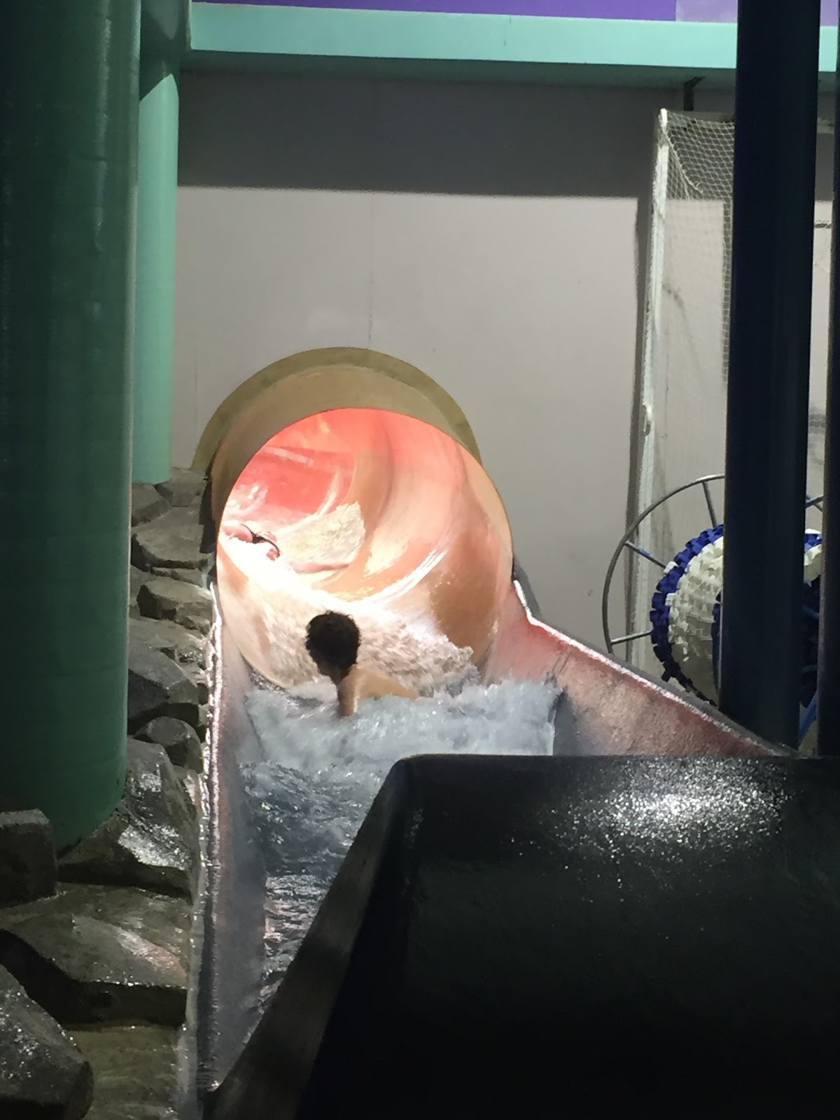 Welcome to Team Kereru: Year 5 day out Splash Palace