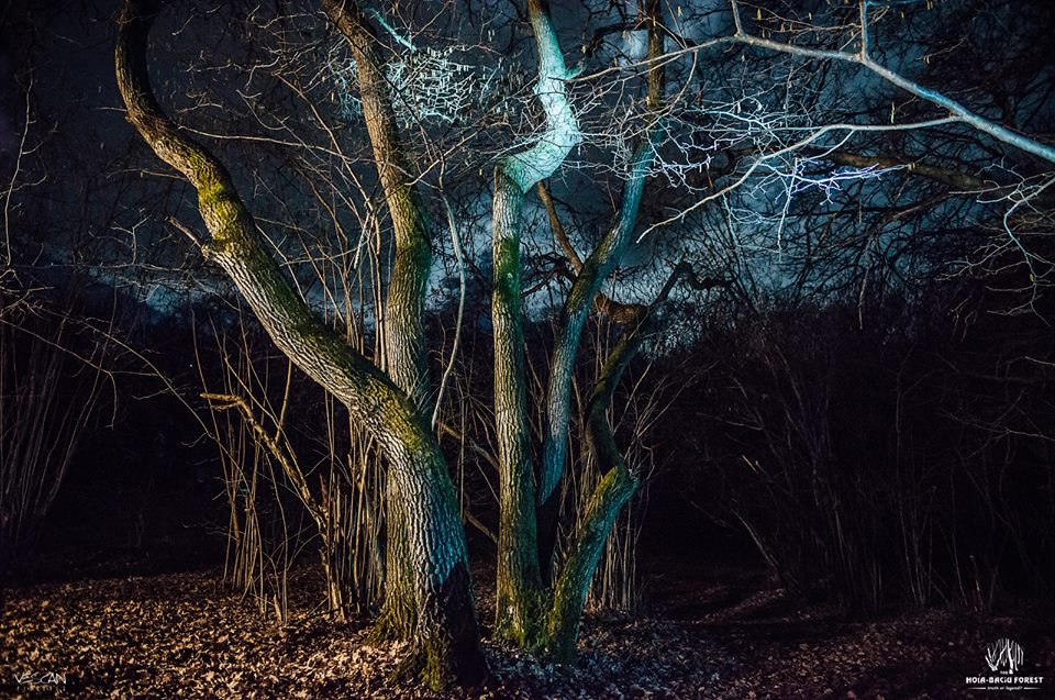 Foto travel: Lansarea proiectului "The Hoia-Baciu Forest Truth or Legend"