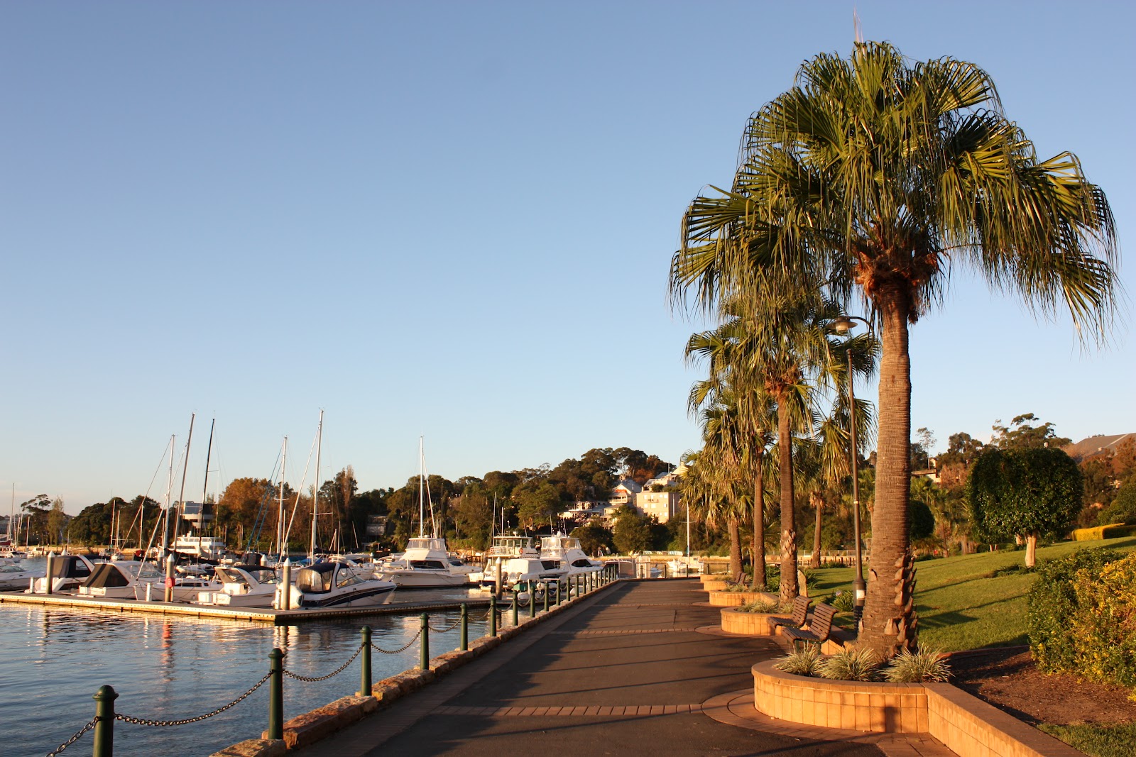 Sydney - City and Suburbs: Rozelle, Bridgewater Park