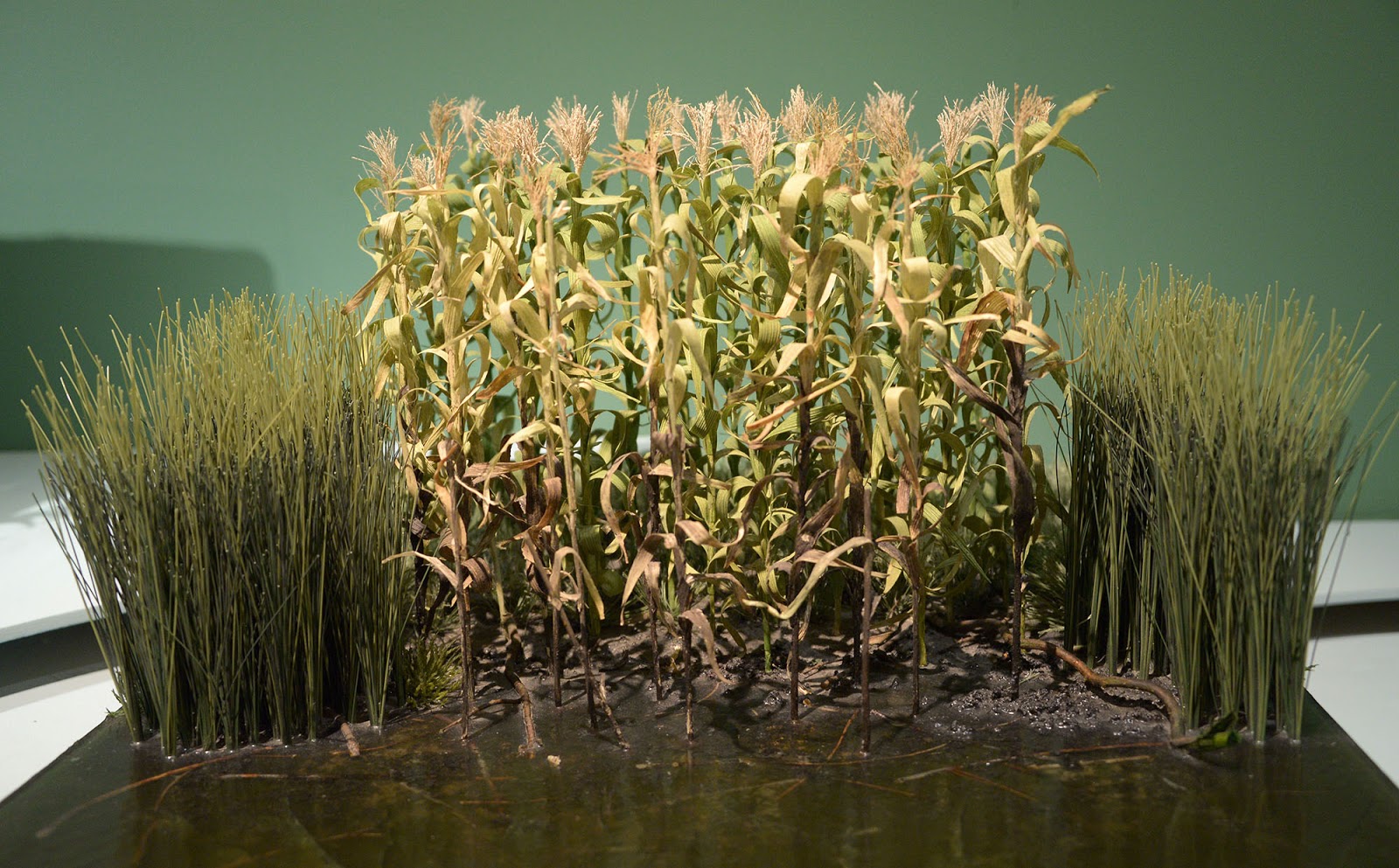 Mercado Sobre Ruedas: La milpa, de origen prehispánico, es un aporte de ...