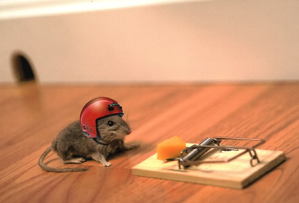 Part And Parcel Of Life: March 2013