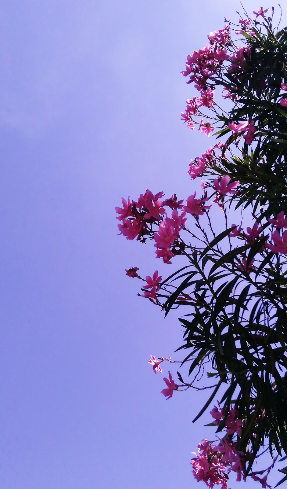 St. Thomas Mount National Shrine, Parangi Malai, Chennai, TamilNadu, INDIA.