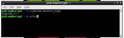 Hello Raspberry Pi: Get Raspberry Pi system temperature with vcgencmd