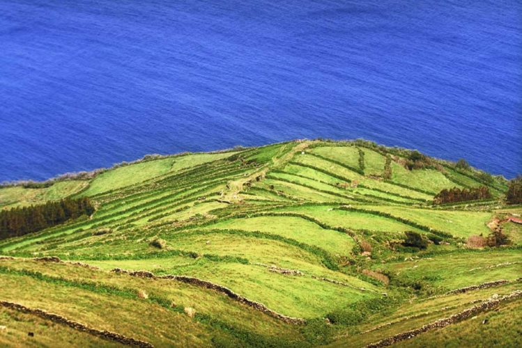 Ciência para Todos: Açores passam a ter 17 áreas marinhas protegidas