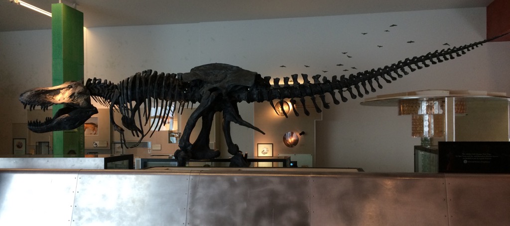 A GEEK DADDY: Cranbrook Institute of Science