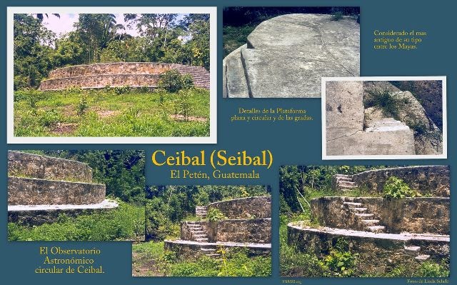 SACBÉ: Camino de aprendizaje: CEIBAL: Lugar de ceibas