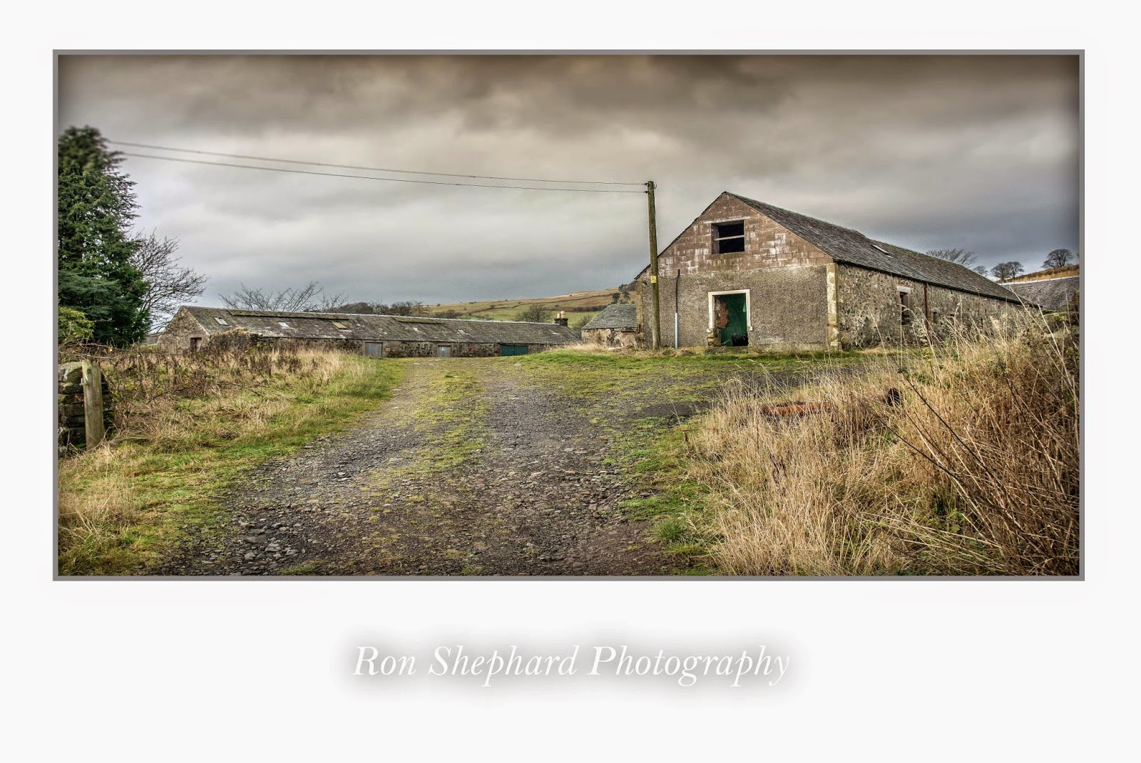 Campsie Photographs: October 2014