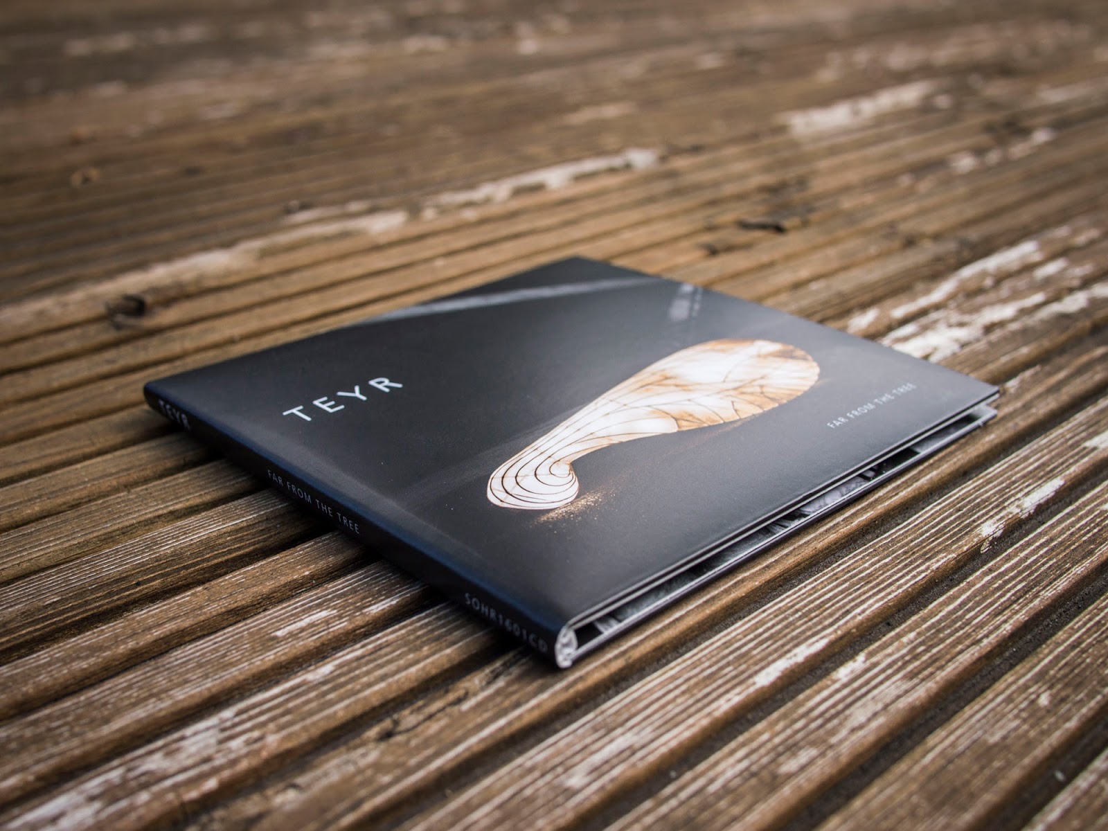 Music – TEYR – Folk Music Trio