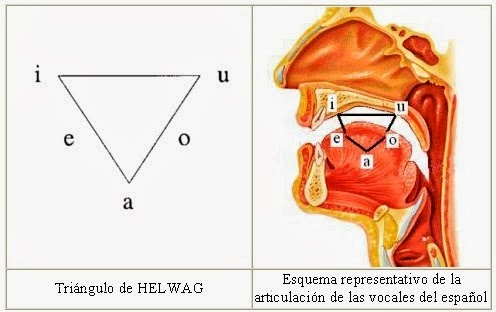 RECURSOS CORALS PER A L'AULA DE MÚSICA: Tècnica: els fonemes (2)