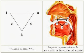 RECURSOS CORALS PER A L'AULA DE MÚSICA: Tècnica: els fonemes (2)