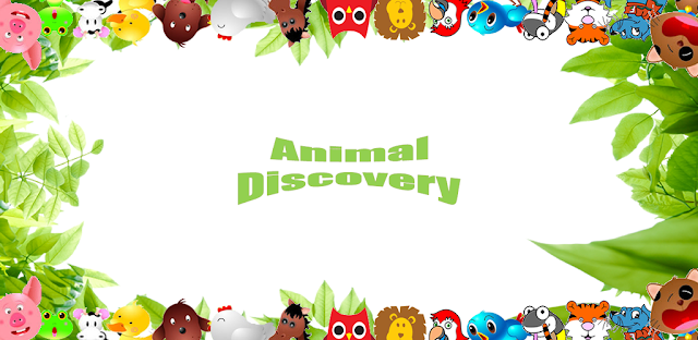 Animal Discovery