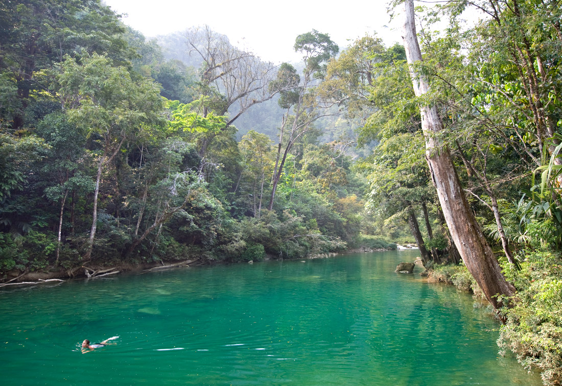 The Reserve Belize | Blogspot: Life at the Confluence of Five Ecosystems