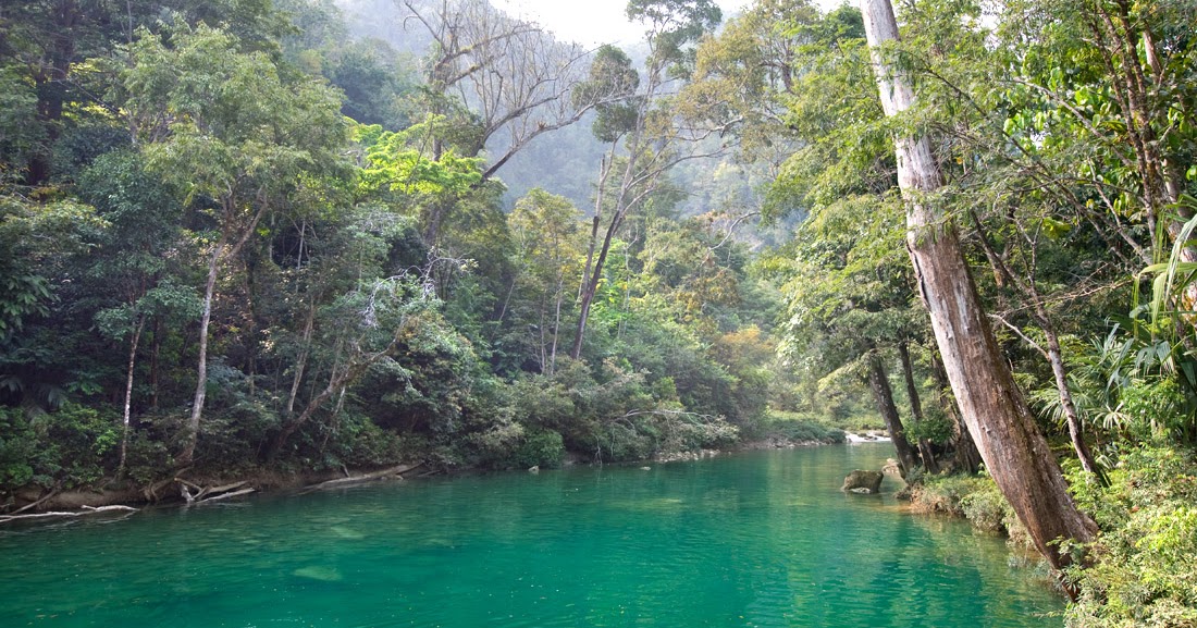 The Reserve Belize | Blogspot: Life at the Confluence of Five Ecosystems