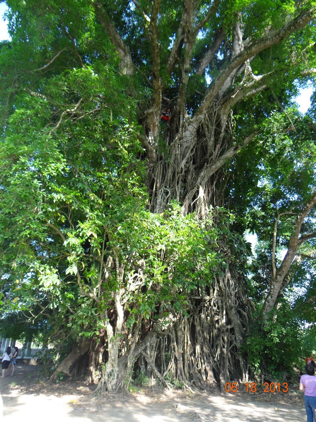 Igorotang Explorer: Budget for Baler