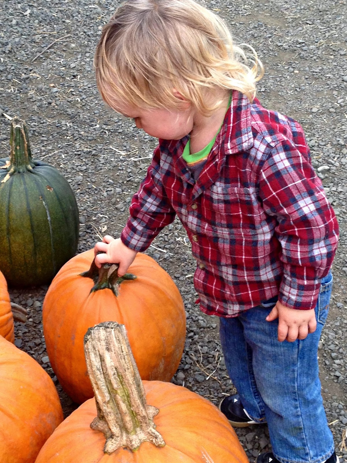 Our Annual Pumpkin Patch Visit