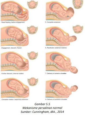 Mekanisme Persalinan Normal