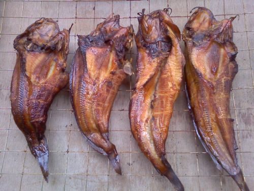 Cara Membuat Daging Asap Pengasapan Cair | WWW DATA IPTEK | Elektronika ...