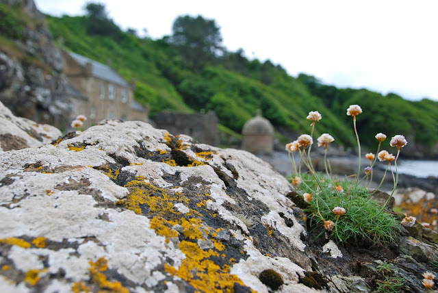 imac's Photos from the Minds Eye: Maybole Beach - Ayrshire - Scotland