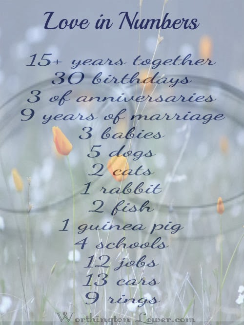 Worthington Lower: A Wedding Anniversary: Love in Numbers
