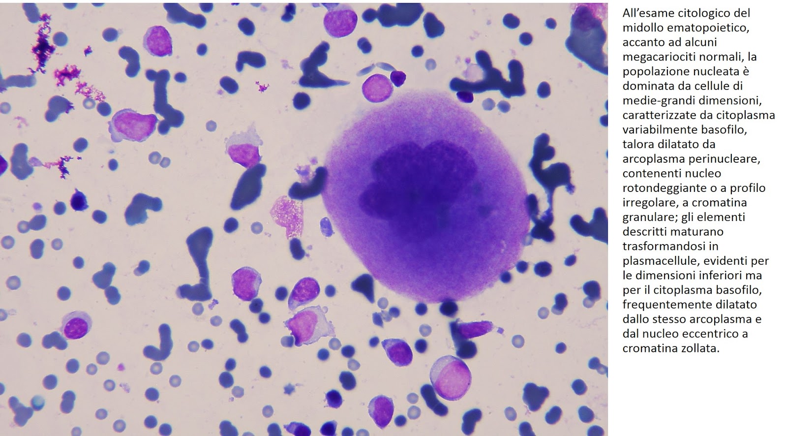 C.R.A.M.P.O.: gennaio 2019