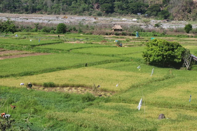 Cordillera village' crier : Aluling Bridge strengthens sisterhood ties ...