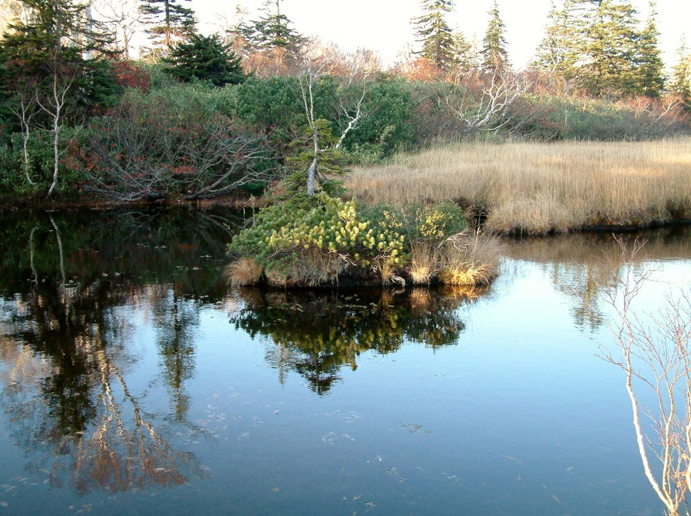 SHOTs rambling Japan: Shinsen-numa Marsh in Niseko (Hokkaido)