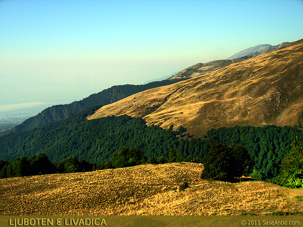 Ljuboten and Livadica - Shar Mountain (Sar Planina) - Biceps Brachii ...
