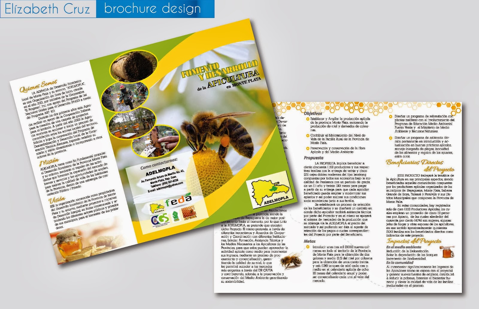 Great Idea Soluciones Graficas: Brochure Informativo Proyecto de ADELMOPLA
