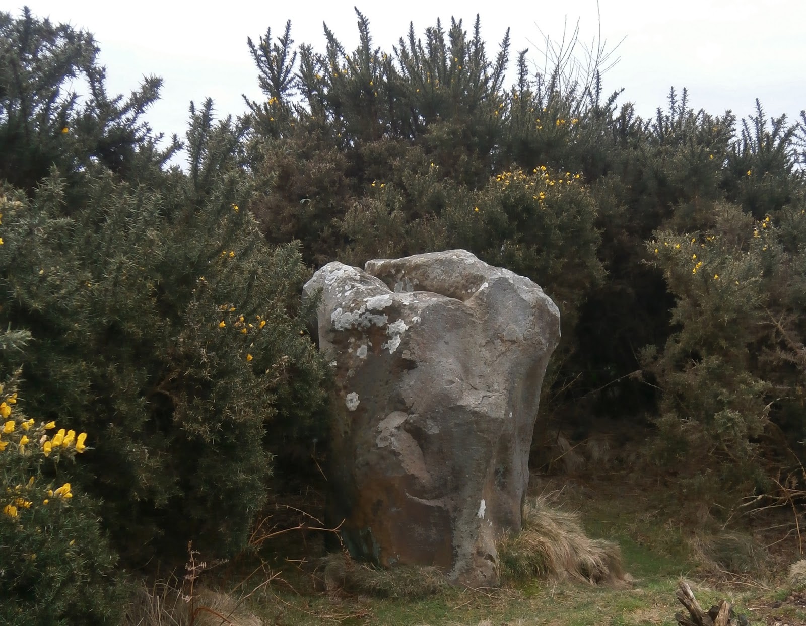 Corfu Blues and Global Views: The Devil's Stone, and Bere Regis Church