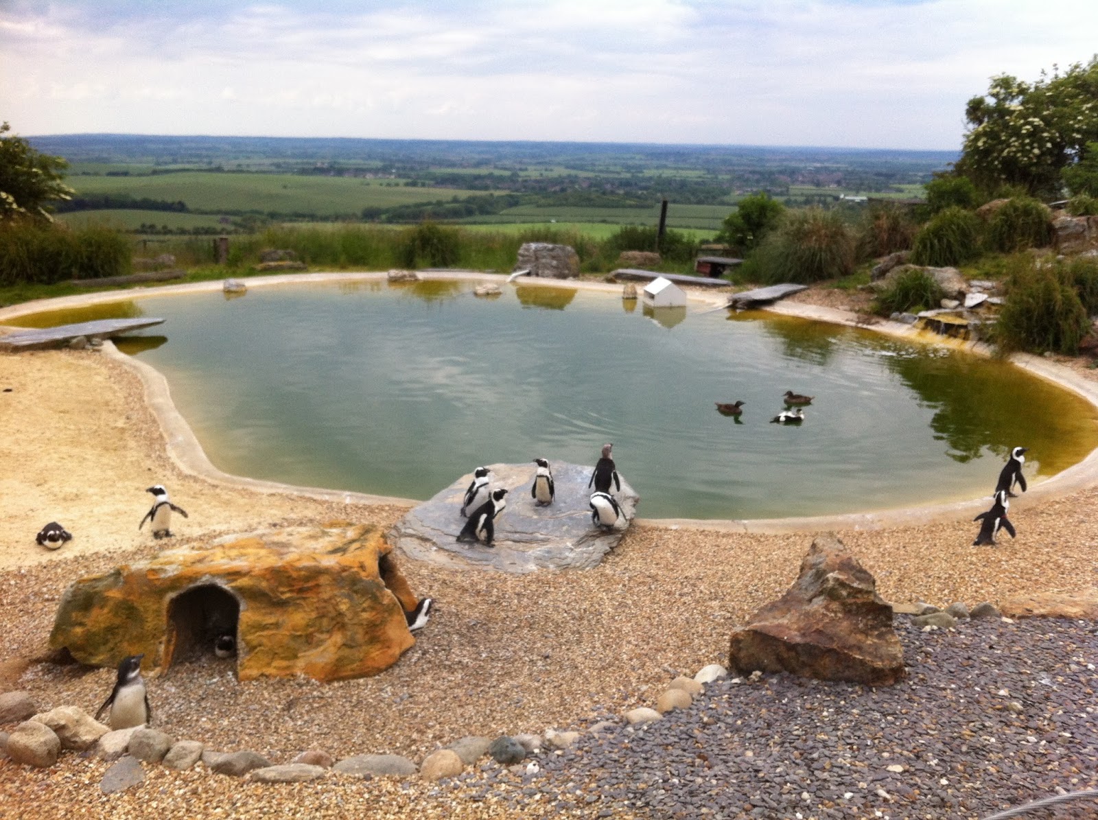 Visiting Whipsnade Zoo With Young Children - Counting To Ten