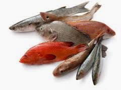 Cocina Creativa : CLASIFICACIÓN DE LOS PECES: SEGÚN SU FORMA.