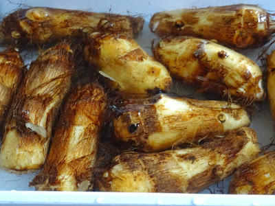 Veg Indian Cooking: Arbi Masala Fry | Sindhi Arbi Tuk | Kachalu Tuk