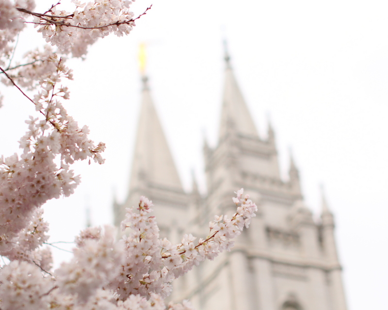 Happier Still: Spring at Temple Square