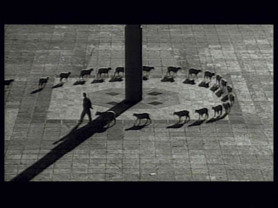 Malaised: Top 10 Contemporary Political Artists: Number 1, Francis Alÿs