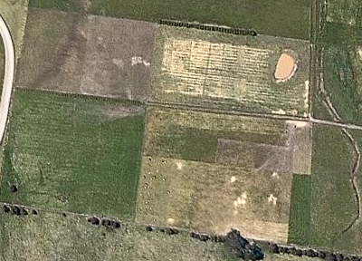 Moora Farm Journal: Cell grazing and cattle update