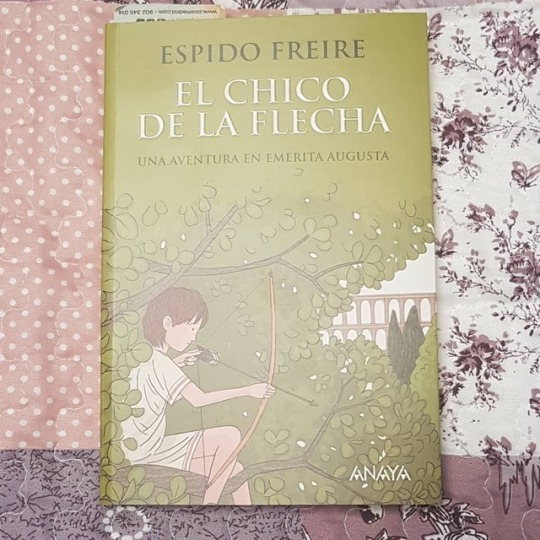 ¿Cómo quieres que cuente estrellas?: El chico de la flecha (2016) Espido Freire