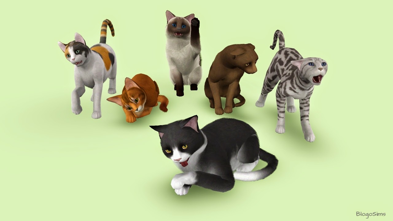 My Sims 3 Blog: Cat Poses by Sonia