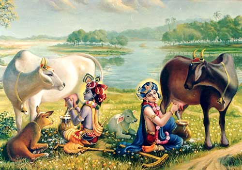 Vedic References of Sacred Cow - Gaumatha