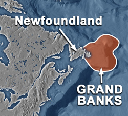 Terra Forming Terra: Grand Banks Cod Stocks Rebound After Thirty Years