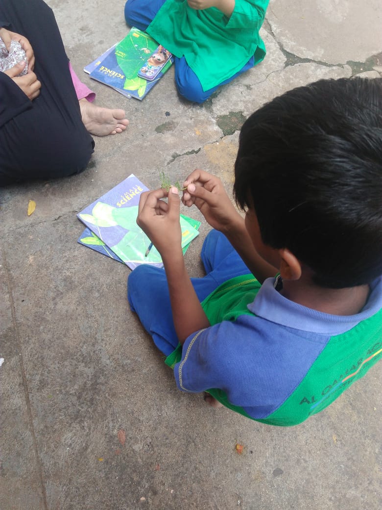 Al Qamar Academy Learning About Plants Grade 3 With The HBSCE Small al-qamar-academy-learning-about-plants-grade-3-with-the-hbsce-small