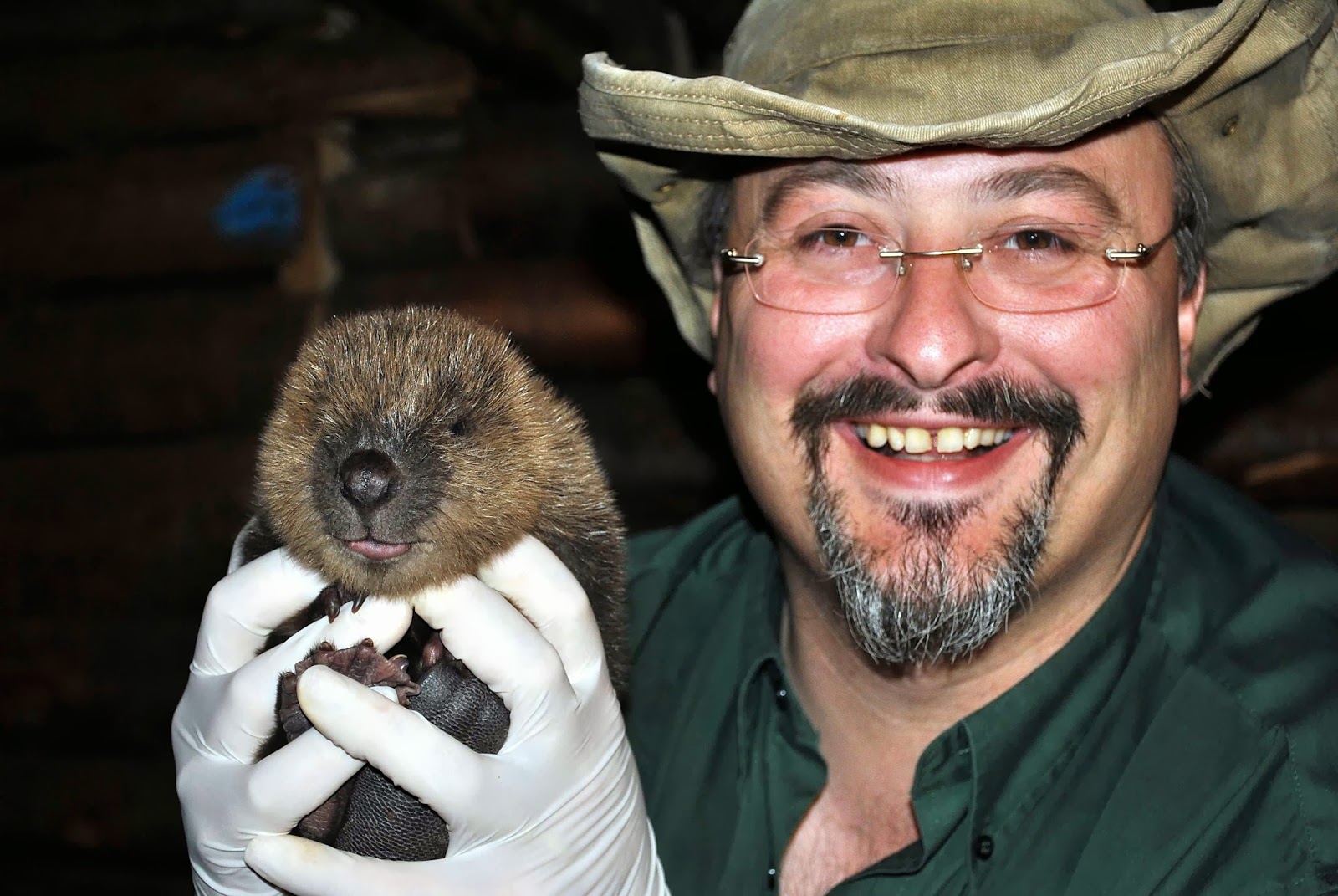 Peter Smith: Beaver, Rewilding & Land Value Tax have the answer to the ...