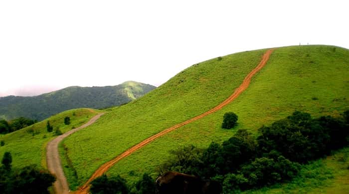 The Mandalpatti Hills of Coorg, Karnataka