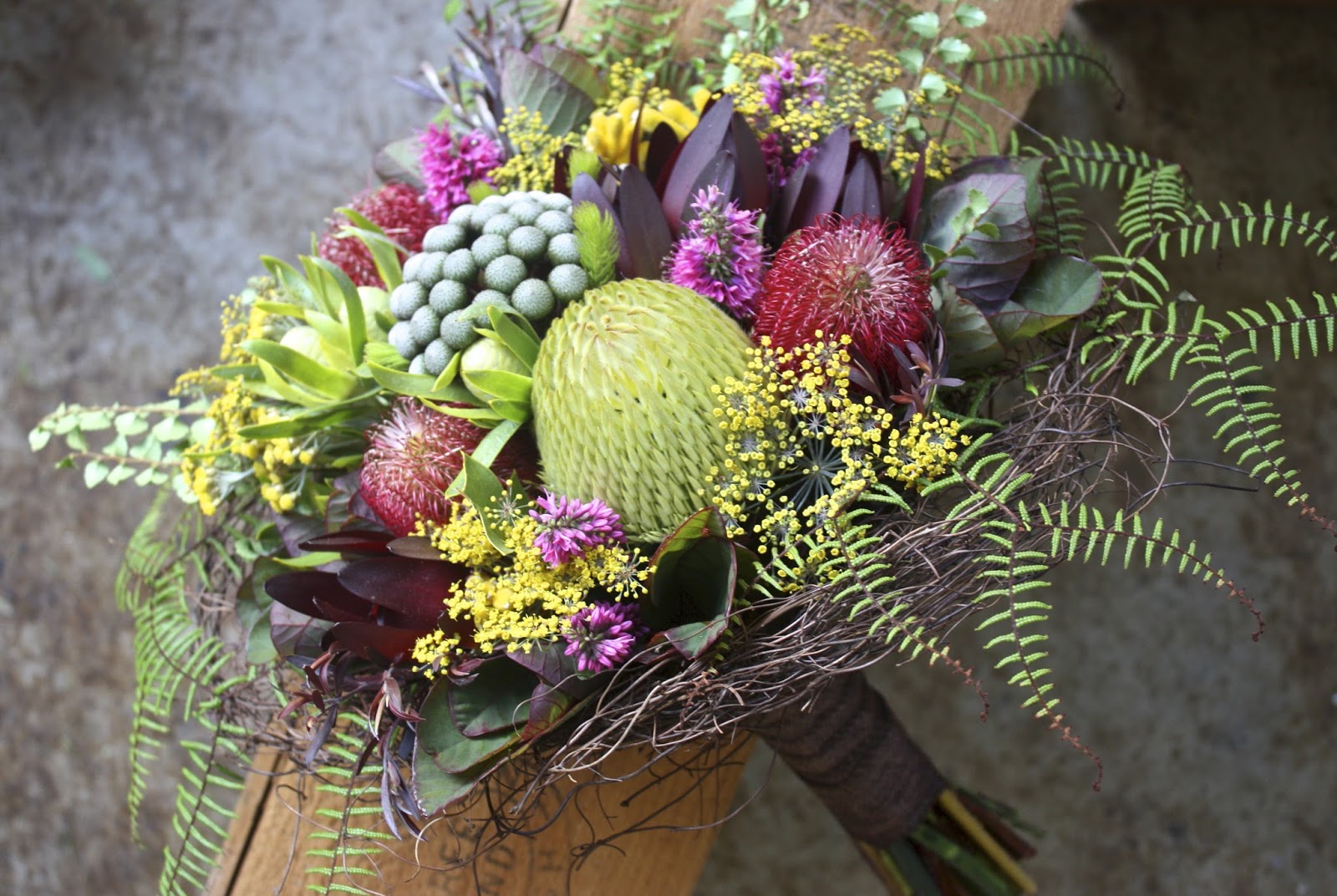 A Passion for Flowers: In the Field: Banksia Baxteri