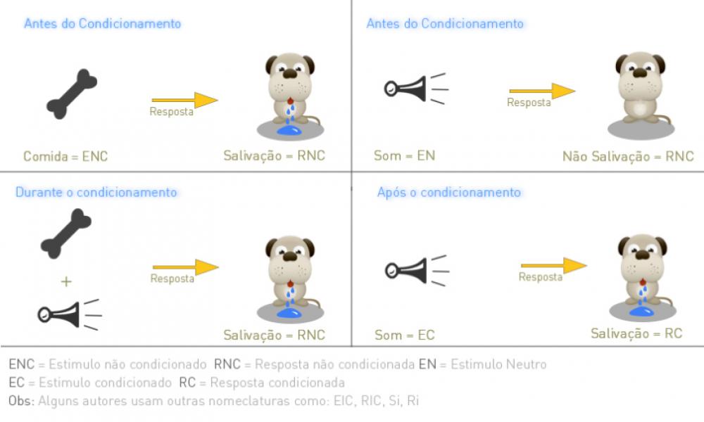Psicologando com Carol: Discutindo sobre Aprendizagem: Condicionamento ...