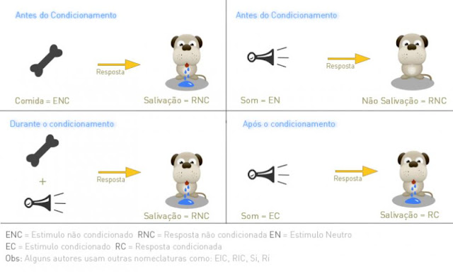 Psicologando com Carol: Discutindo sobre Aprendizagem: Condicionamento ...
