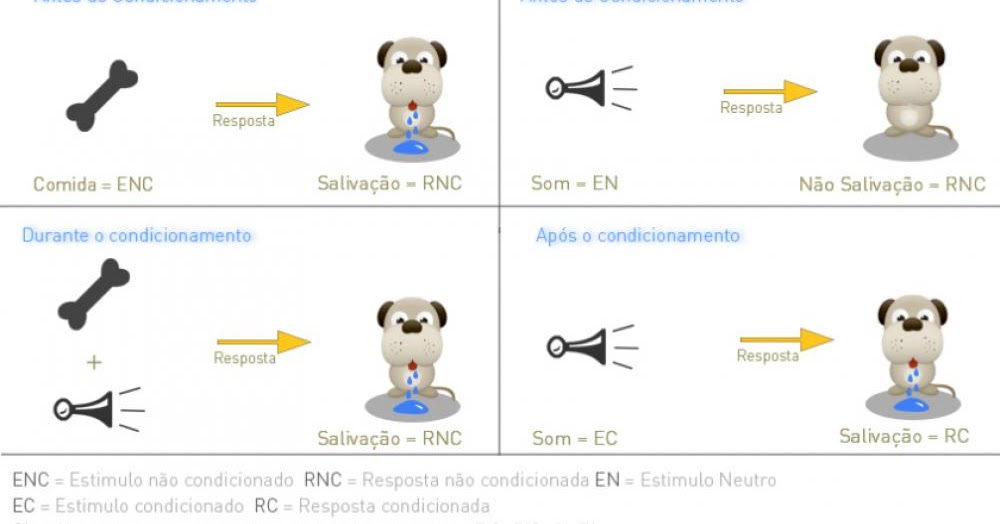 Psicologando com Carol: Discutindo sobre Aprendizagem: Condicionamento Clássico e Operante