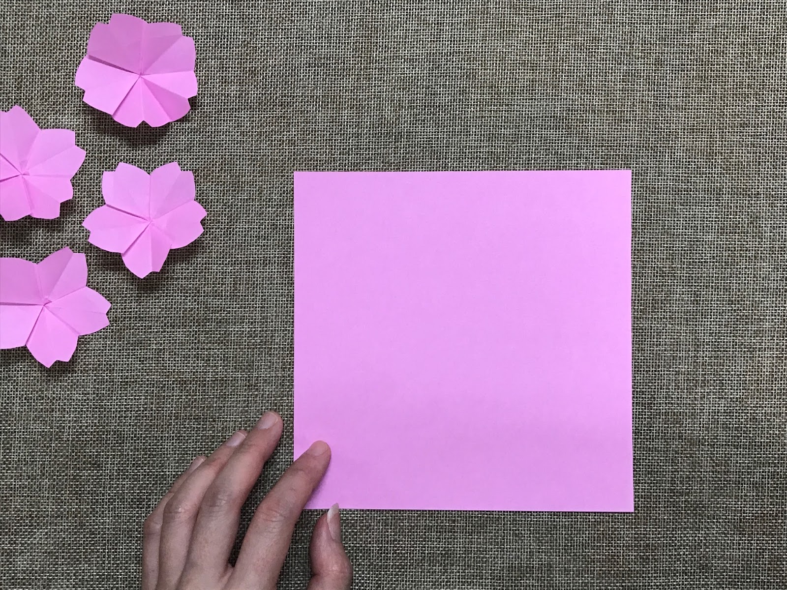 Tutorial #23: Origami Cherry Blossom | The Idea King